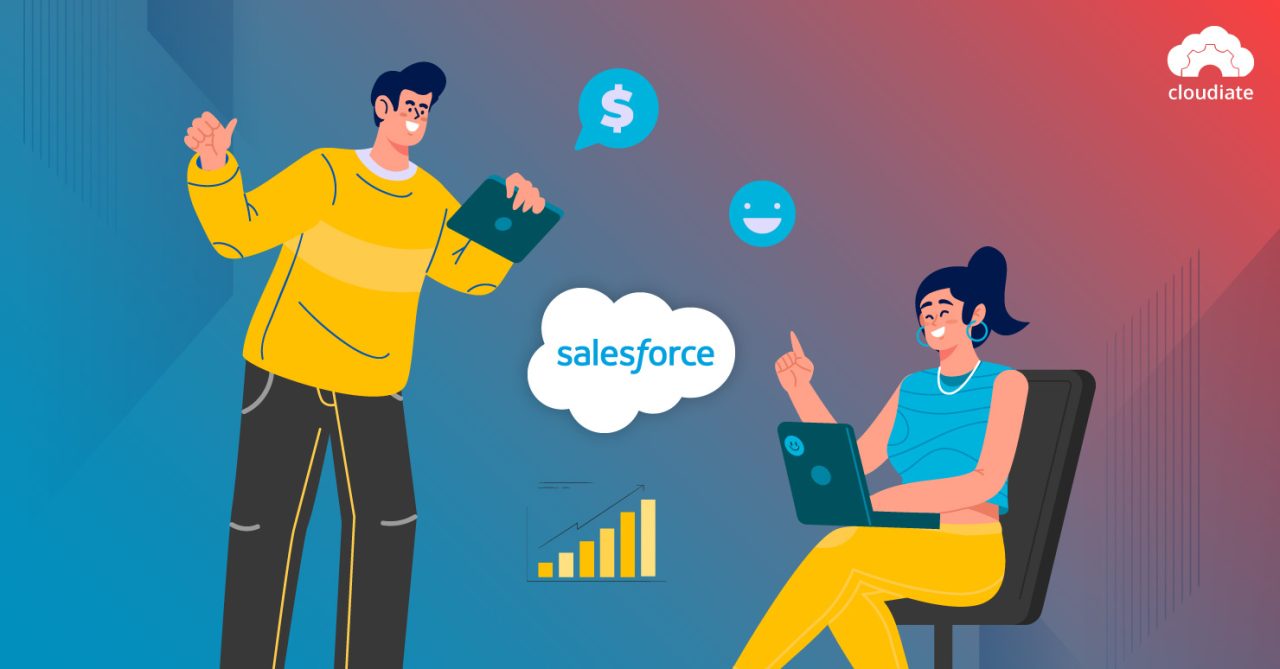 What Can Salesforce Customization Do For Your Business Cloudiate